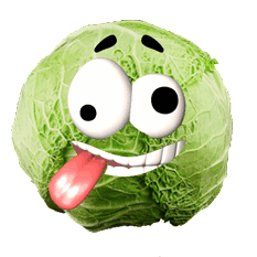 Gifs animés choux