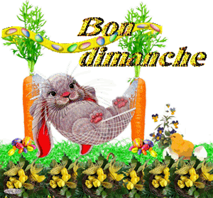Gifs gratuits pour un Bon dimanche