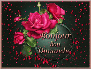 Gifs gratuits pour un Bon dimanche